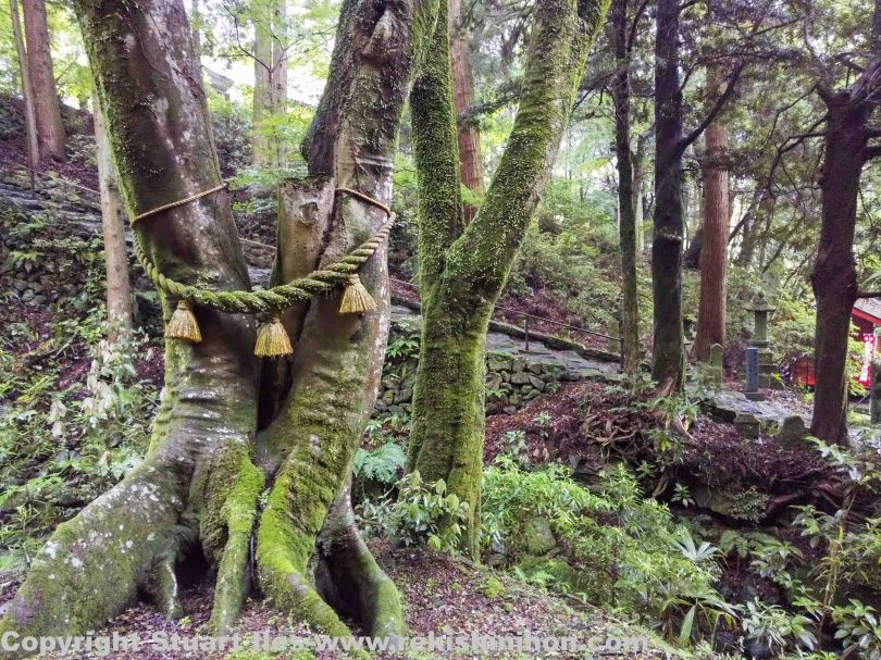 Kunisaki Peninsula, Oita, Kyushu – Let's Dive into Japanese History