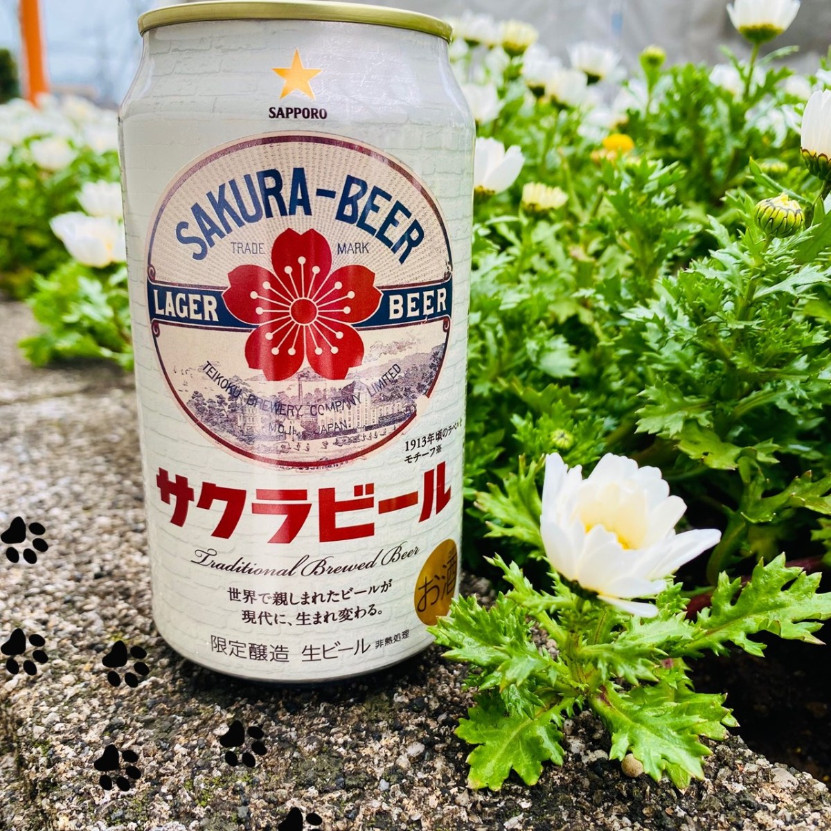 Sakura Lager Beer. Seasonal beer from Kyushu. – Let's Dive into ...